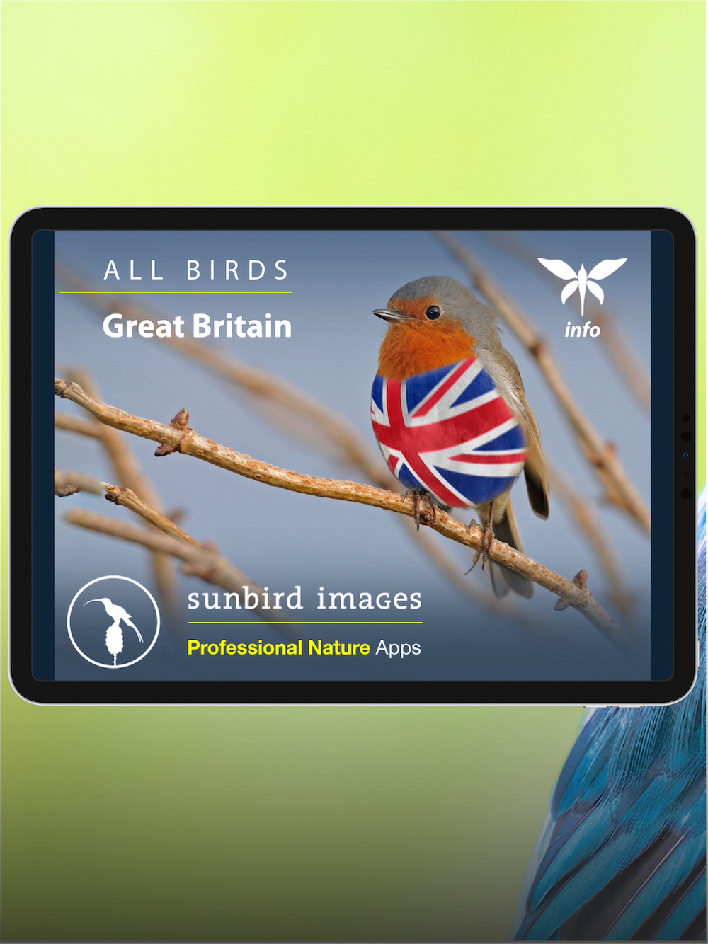Identify Wildflowers Uk App Home Alqu