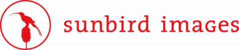 Team - Sunbird Images