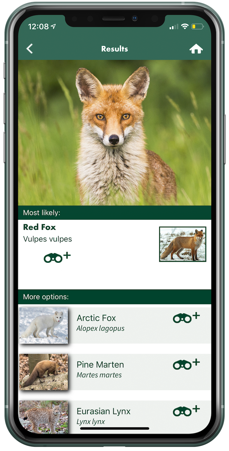 AxVisio - Sunbird Images